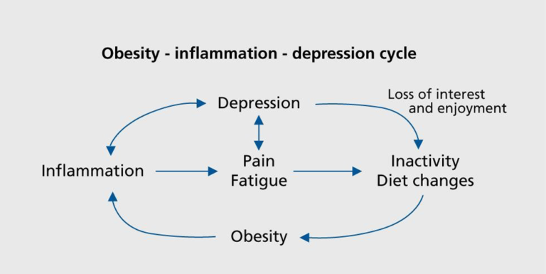 Inflammation: a key risk factor for depression? - ACAMH