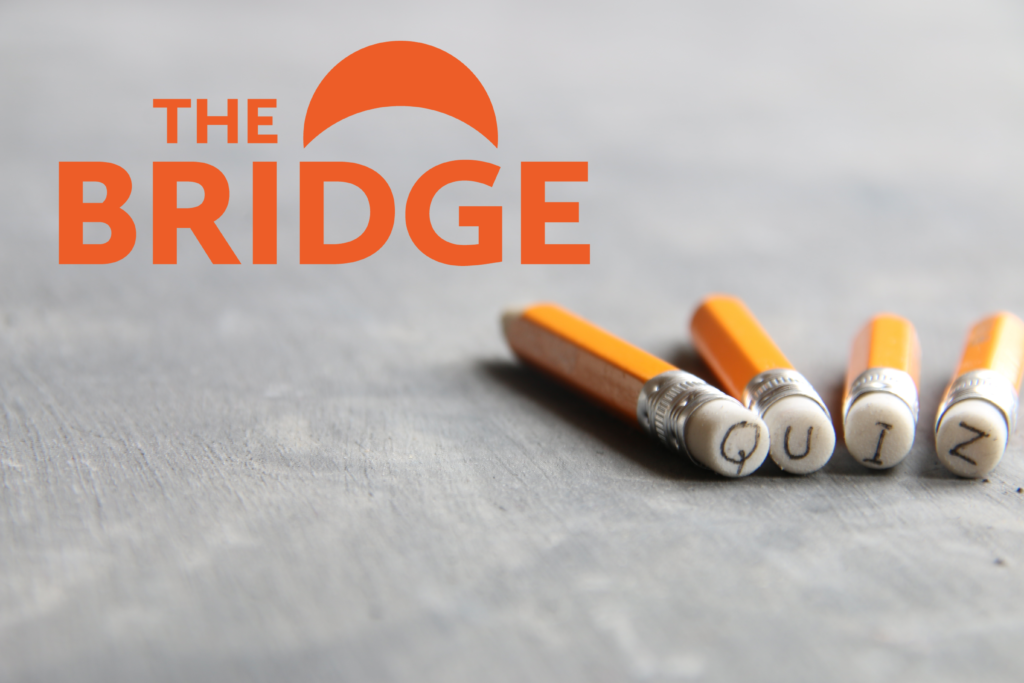 The Bridge Quiz 1 - ACAMH