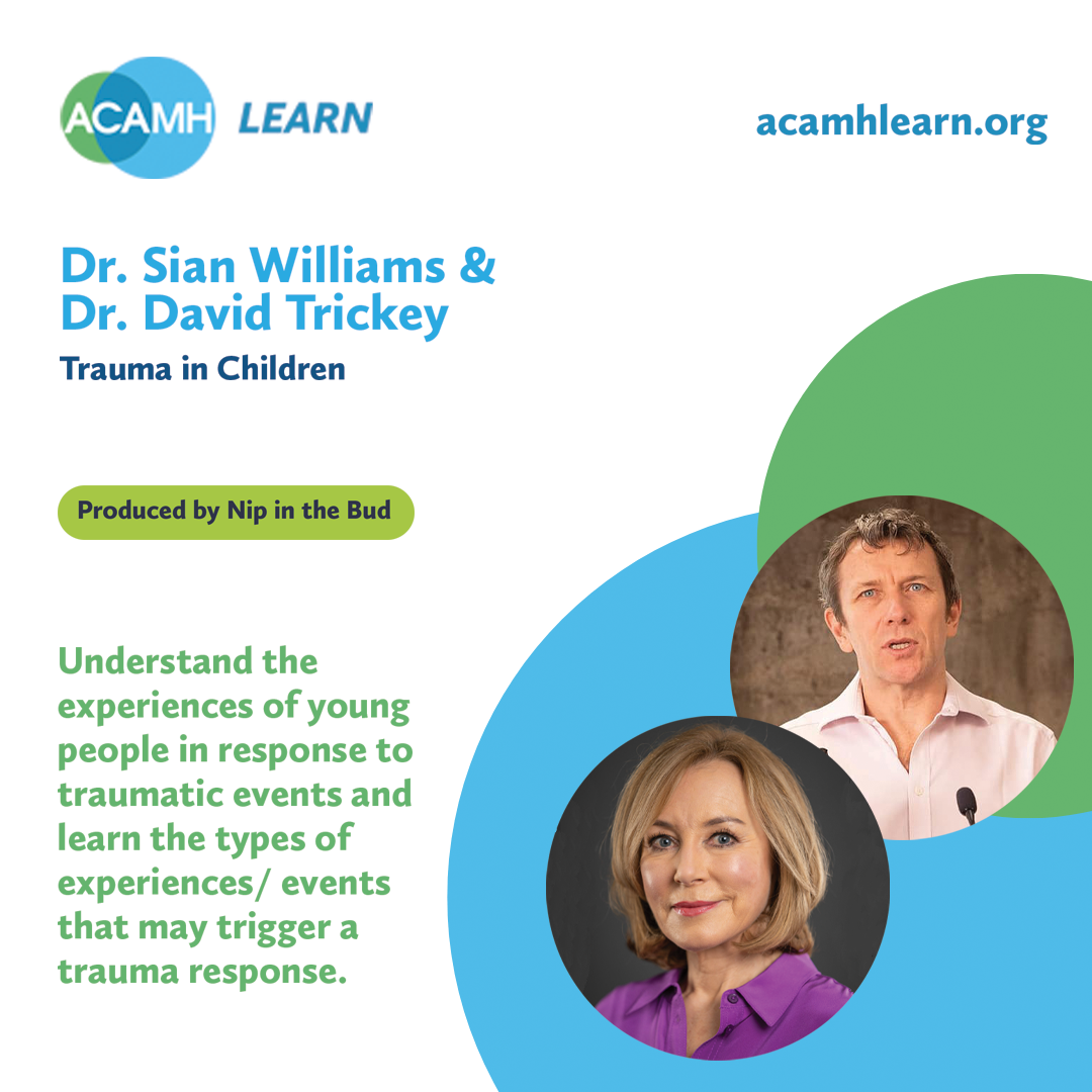 Unlocking Children's Internal Worlds: 25 Years of the Story Stem ...
